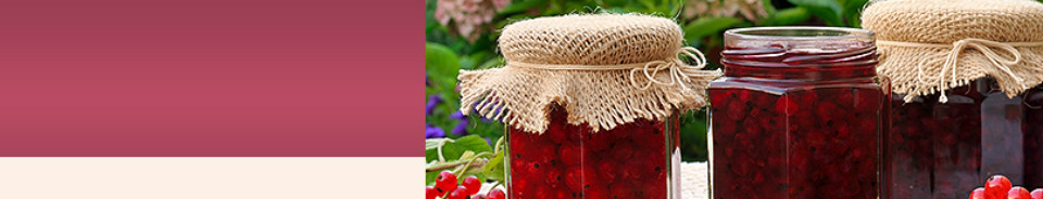 OBESIDAD INFANTIL :: Blitzdünn